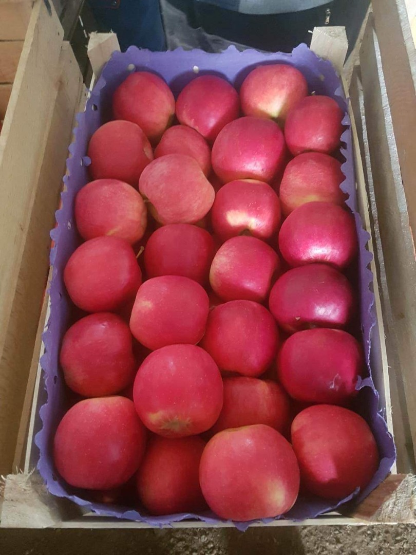 Apple Idared, country of Serbia. Wholesale