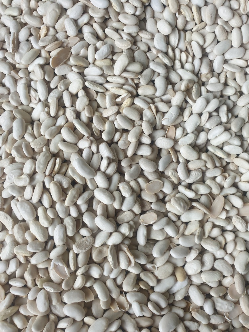 Vând fasole boabe selectată , boabe albe prețul