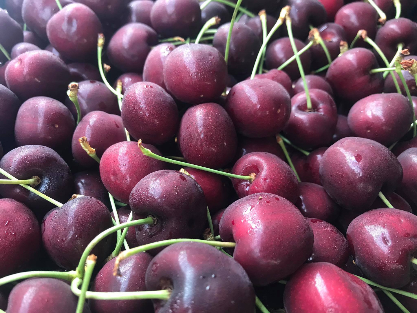 Greek cherries, Kordia. Fresh delivery. 26+ and 28+
