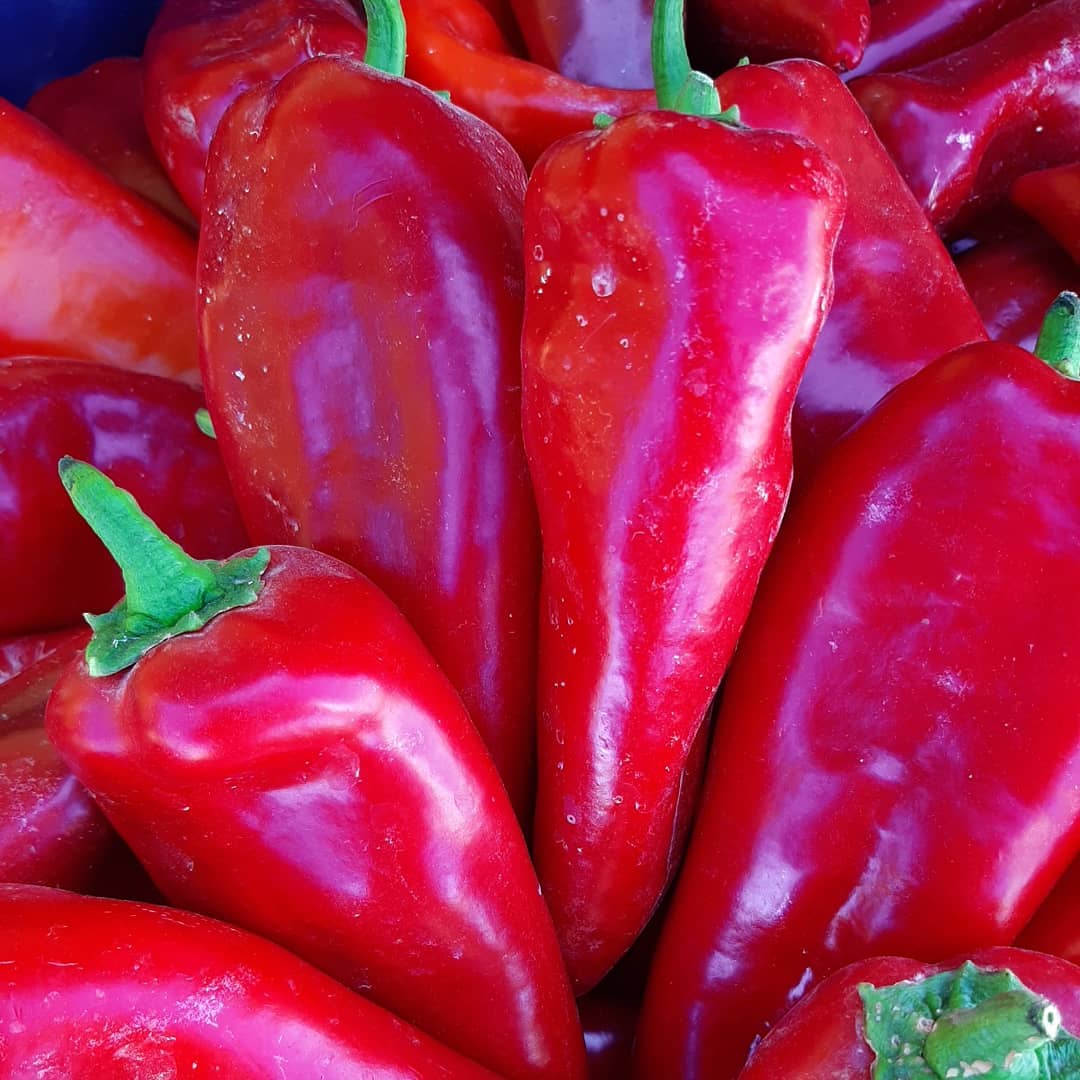 Sale of high quality kapya pepper, Sale of