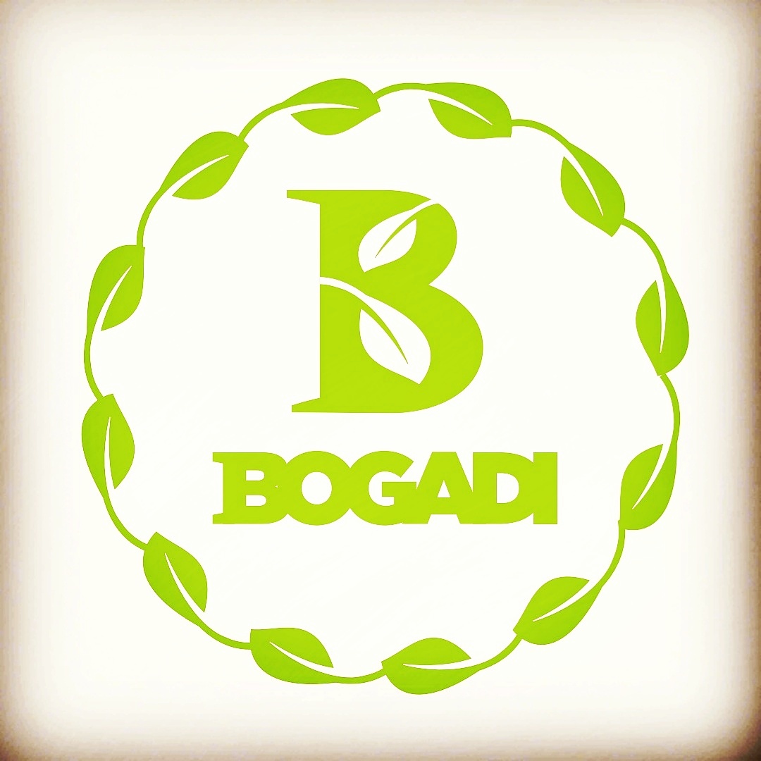 Bogadi llc