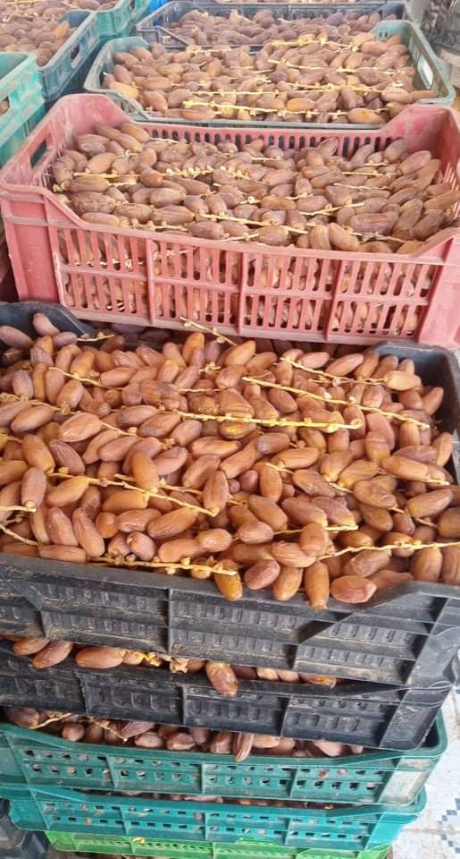 Sell large quantities of dates, for any info