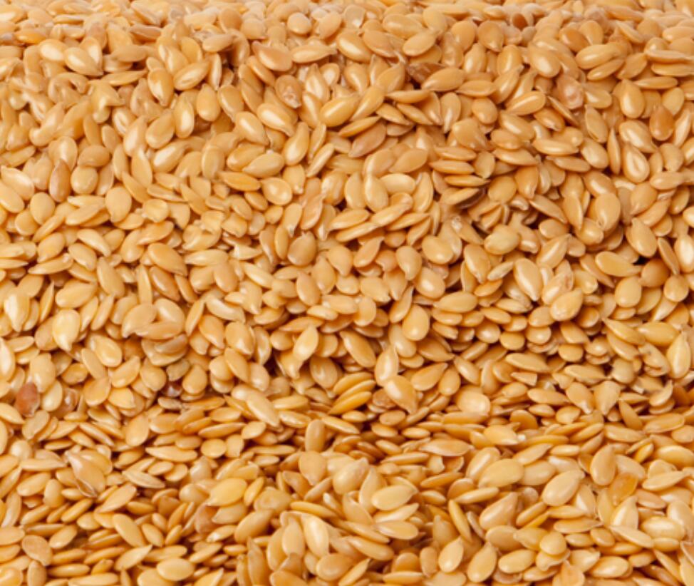 Group of companies "ExportGrain" exports flaxseed, origin Kazakhstan,