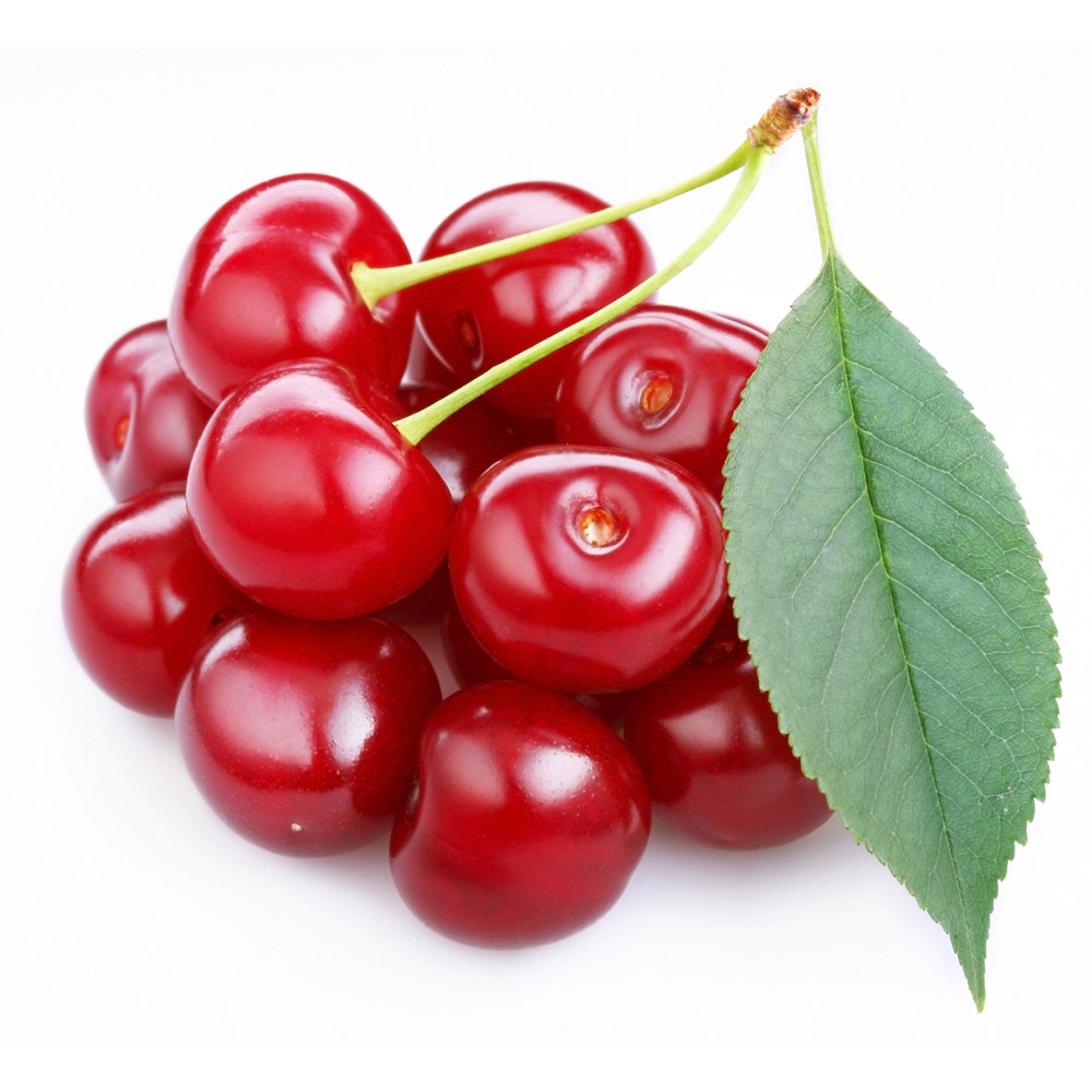 Fresh sour cherries for sale. The Oblacinska variety,