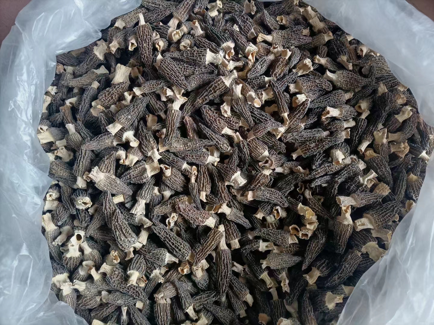dry morel from China ,quality and packing following