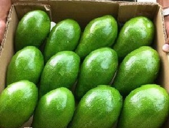 Packing of avocados is done in 4