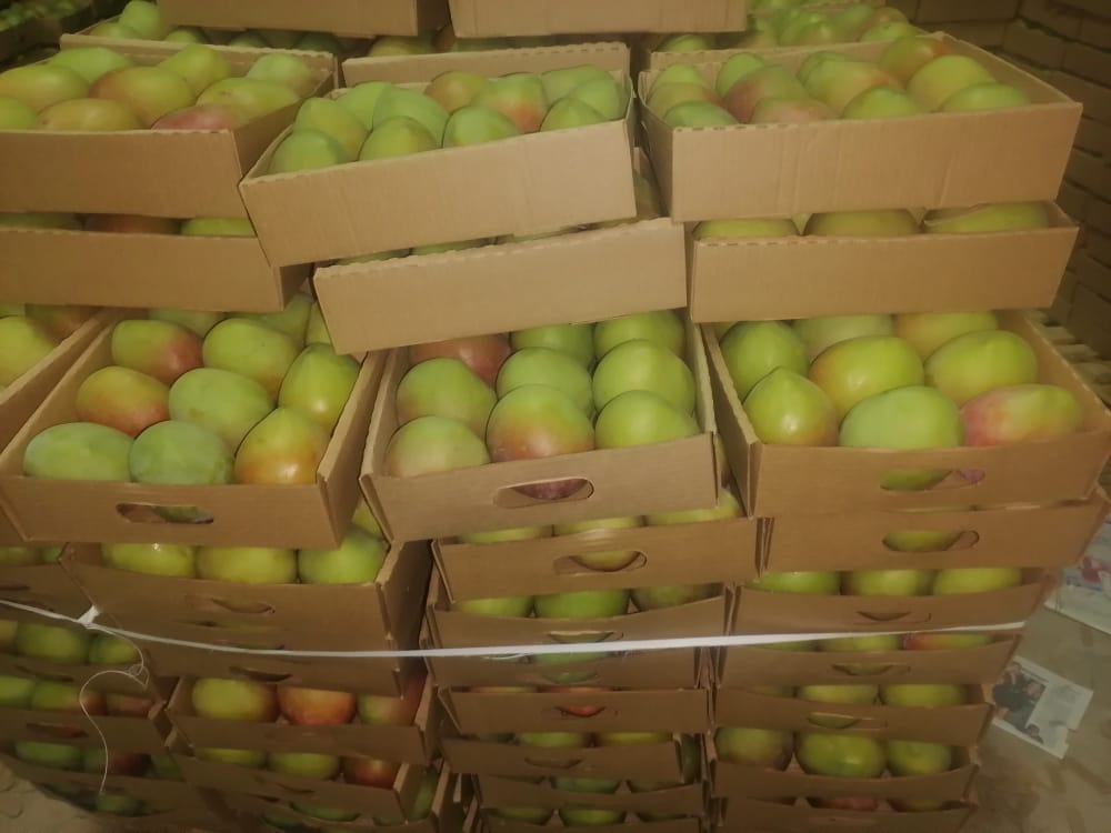 Some of the Kenya mango varieties we export