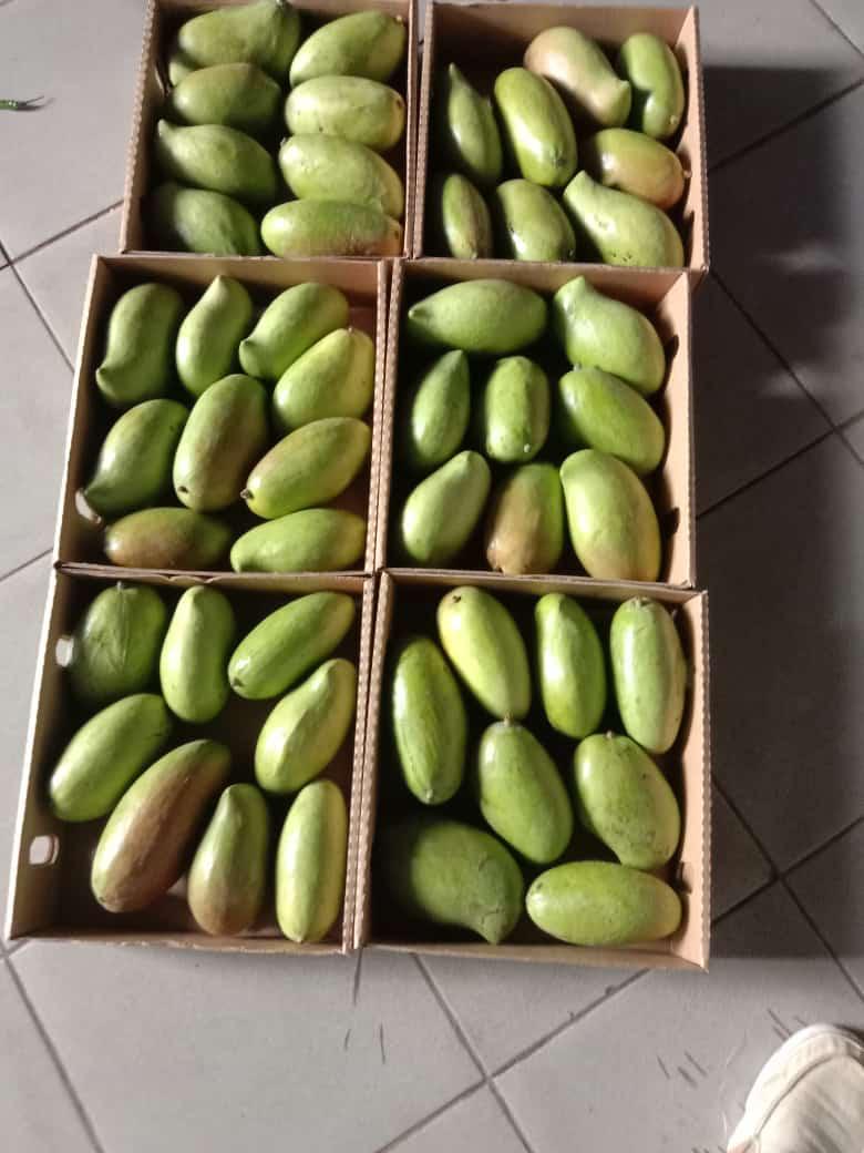 Some of the Kenya mango varieties we export