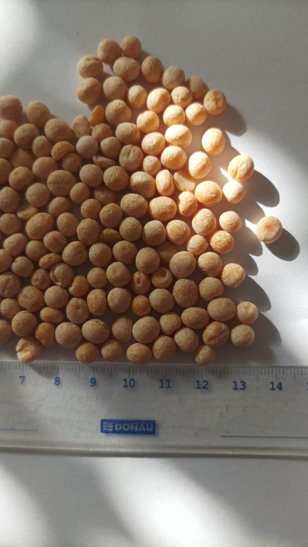 Yellow round peas and halves Certificate and laboratory