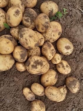 [ ENG ]Good morning, I have large quantities