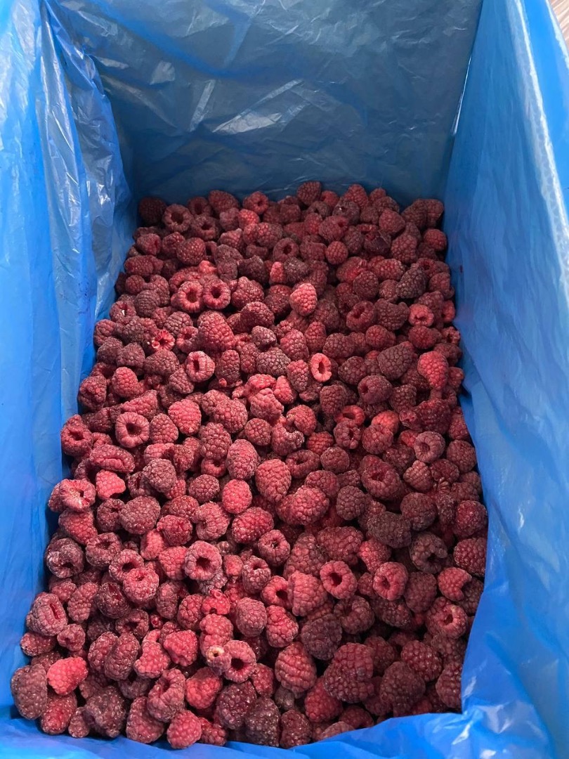 The finest IQF raspberries with our high-quality 90/10