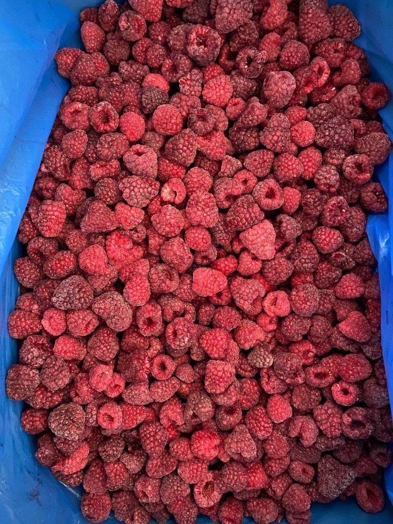 The finest IQF raspberries with our high-quality 90/10