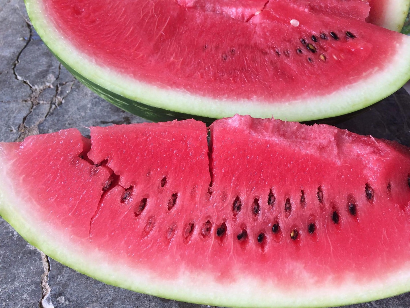 Premium Wholesale Watermelons from Divjake, Albania! Looking for the