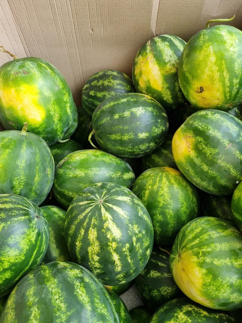 I will sell fresh watermelon, size 3-9kg, packaging