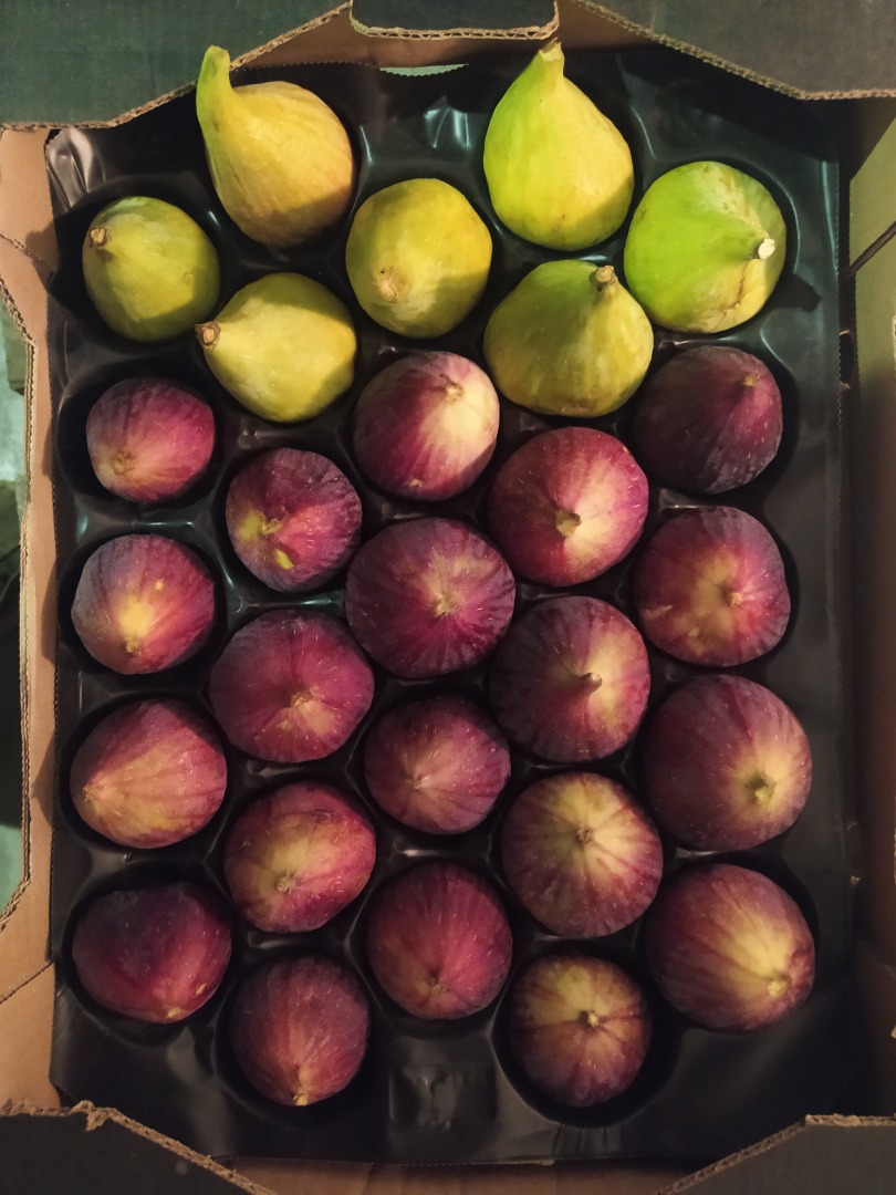 I'm selling packaged and refrigerated natural figs. If