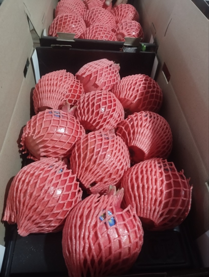 Fresh pomegranate export from Uzbekistan packing plastic box carton