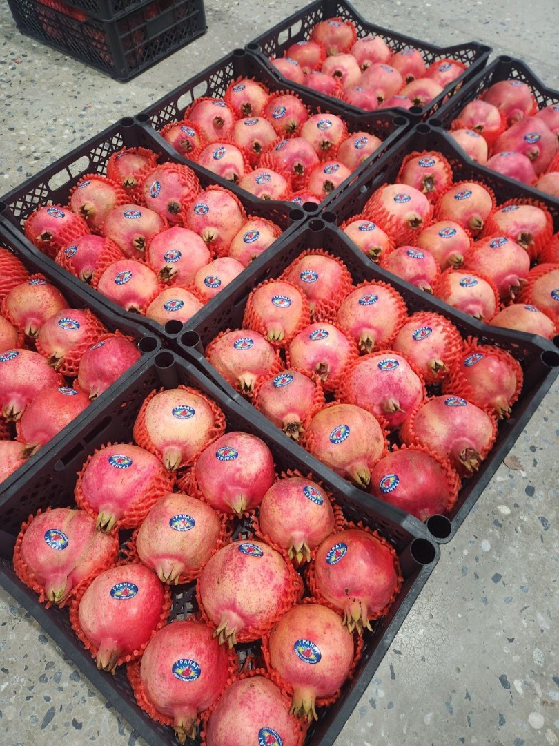 Fresh pomegranate export from Uzbekistan packing plastic box carton