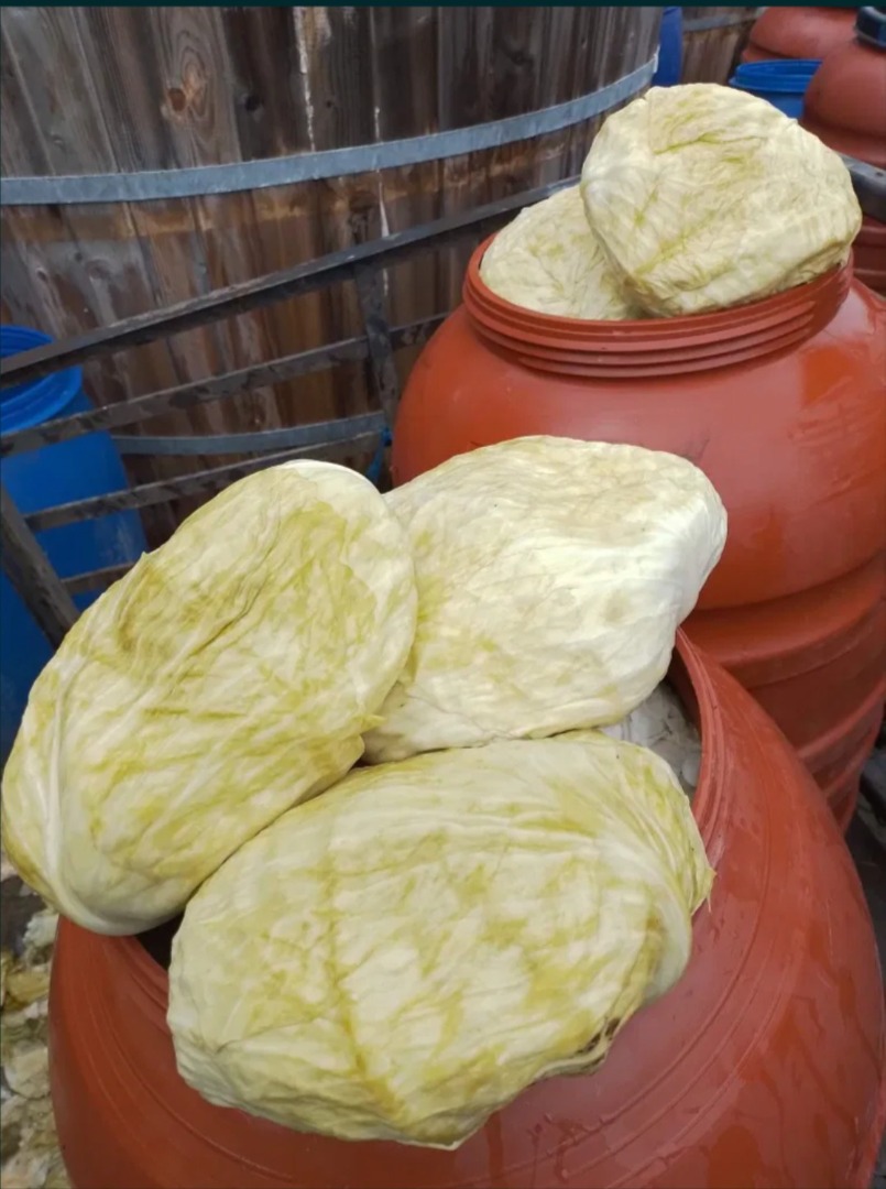 Varza plata 0,40€/ Kg Varza plata murata 0,80€/Kg. fara