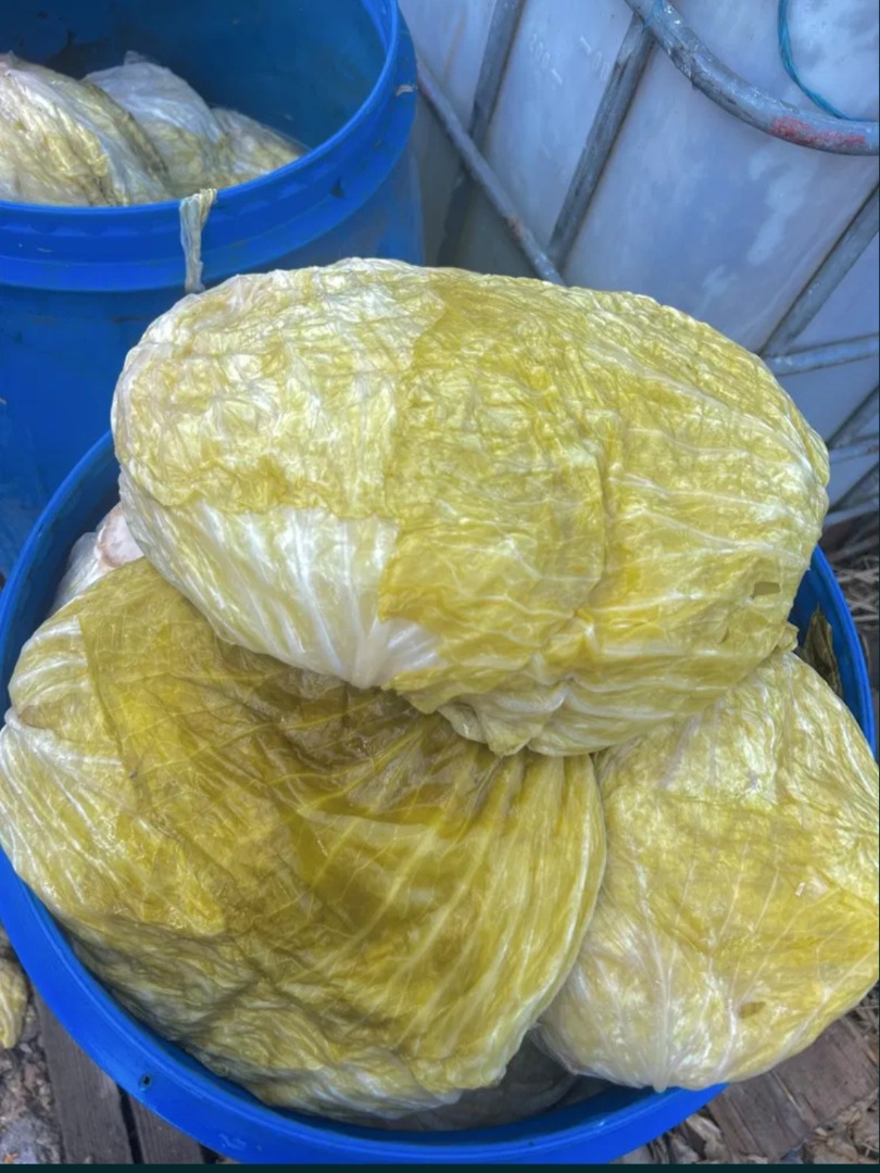 Varza plata 0,40€/ Kg Varza plata murata 0,80€/Kg. fara