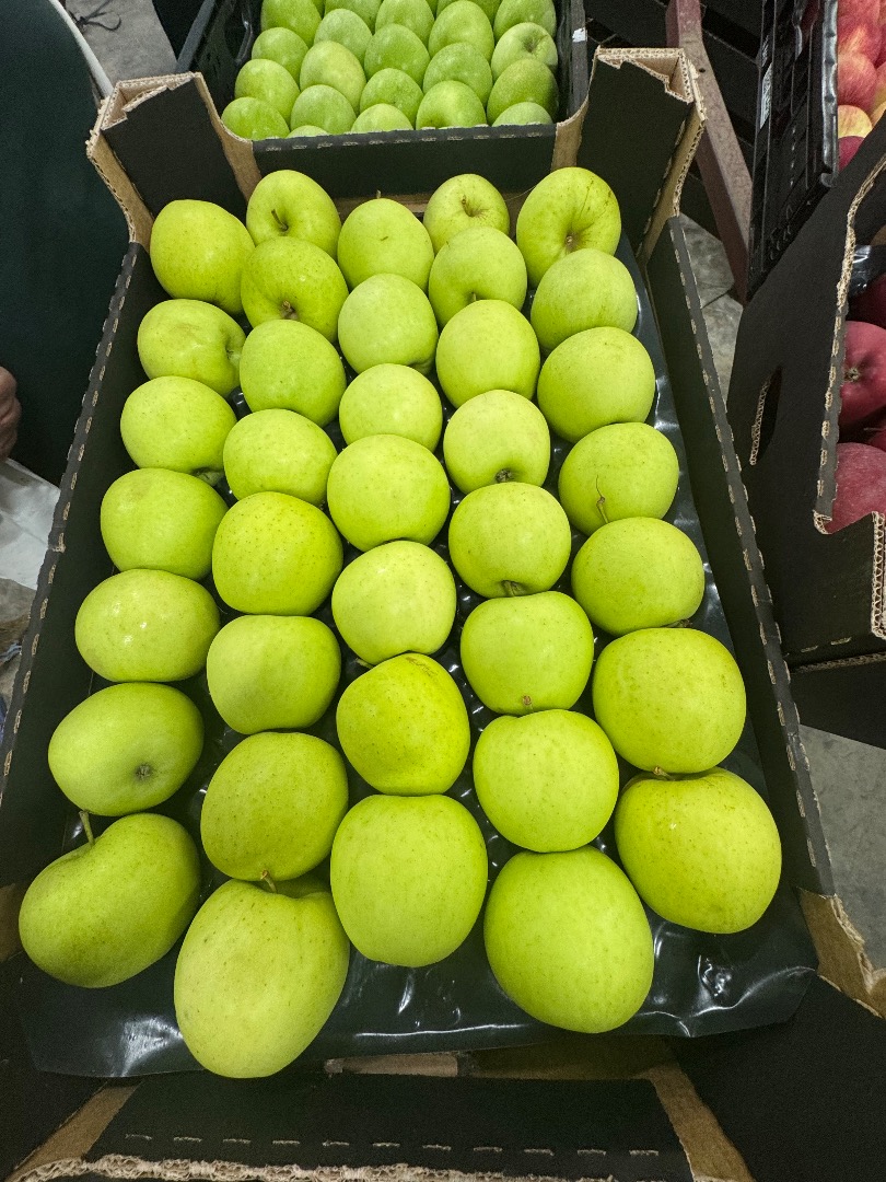 Export to all of Europe, excellent quality