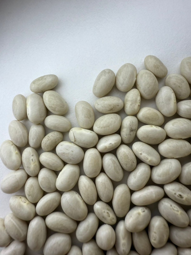 A Ukrainian company offers white beans, Navy Beans.