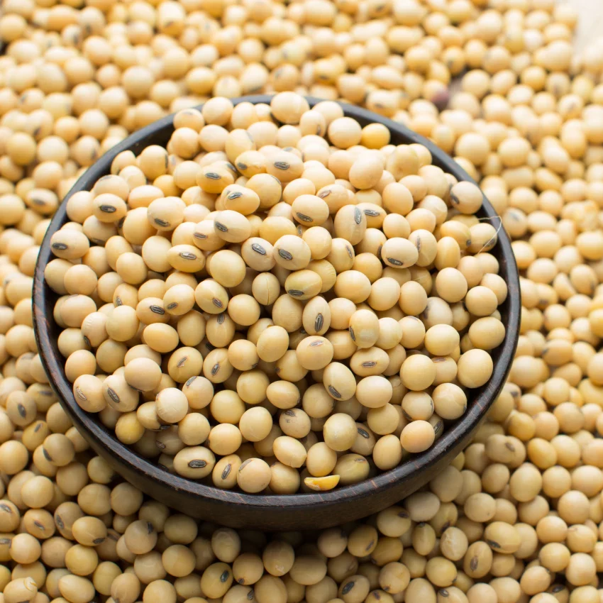 ‎Non-Gmo Soybeans Fit for Human Consumption Purity 98% Dimension Whole ...