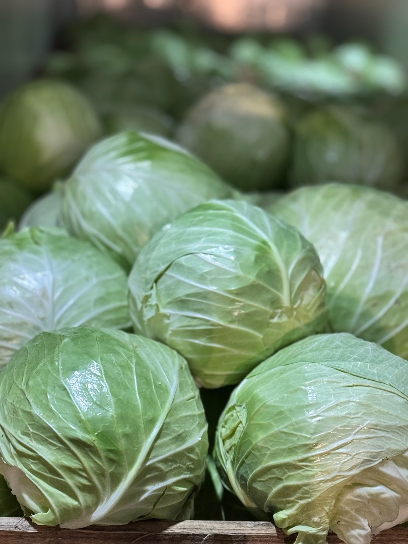 White Cabbage: Flexton, Ramco, Novoton, Ambrosia. Caliber 3+